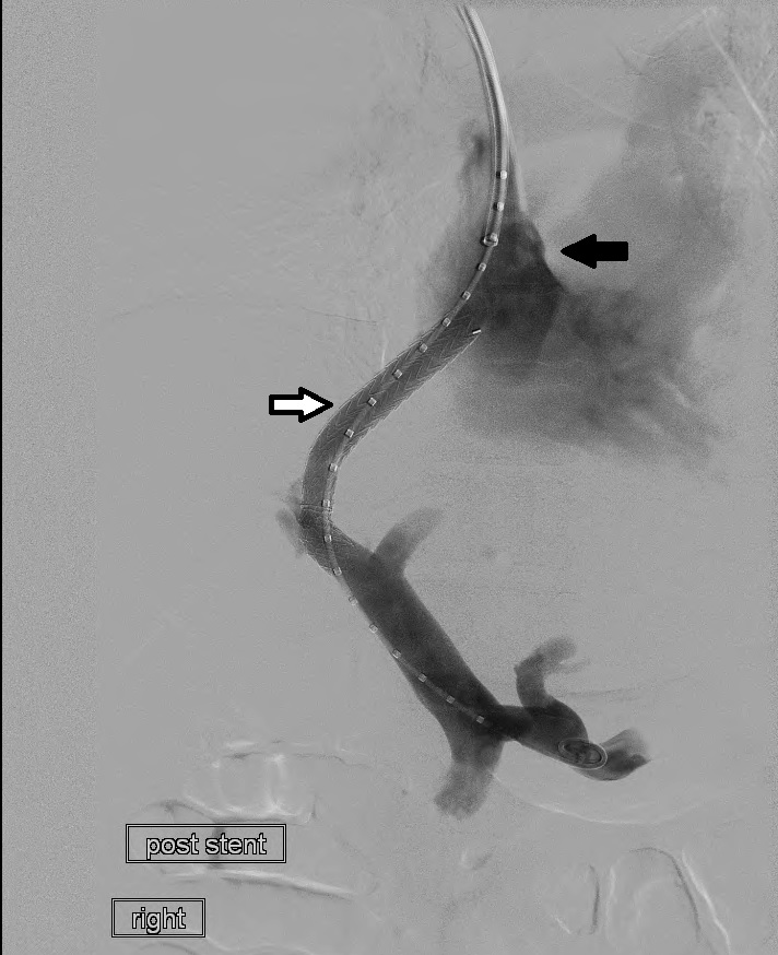 Journal of Lancaster General Health - Journal of Lancaster General Hospital