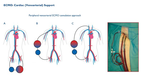 Journal of Lancaster General Health - Journal of Lancaster General Hospital